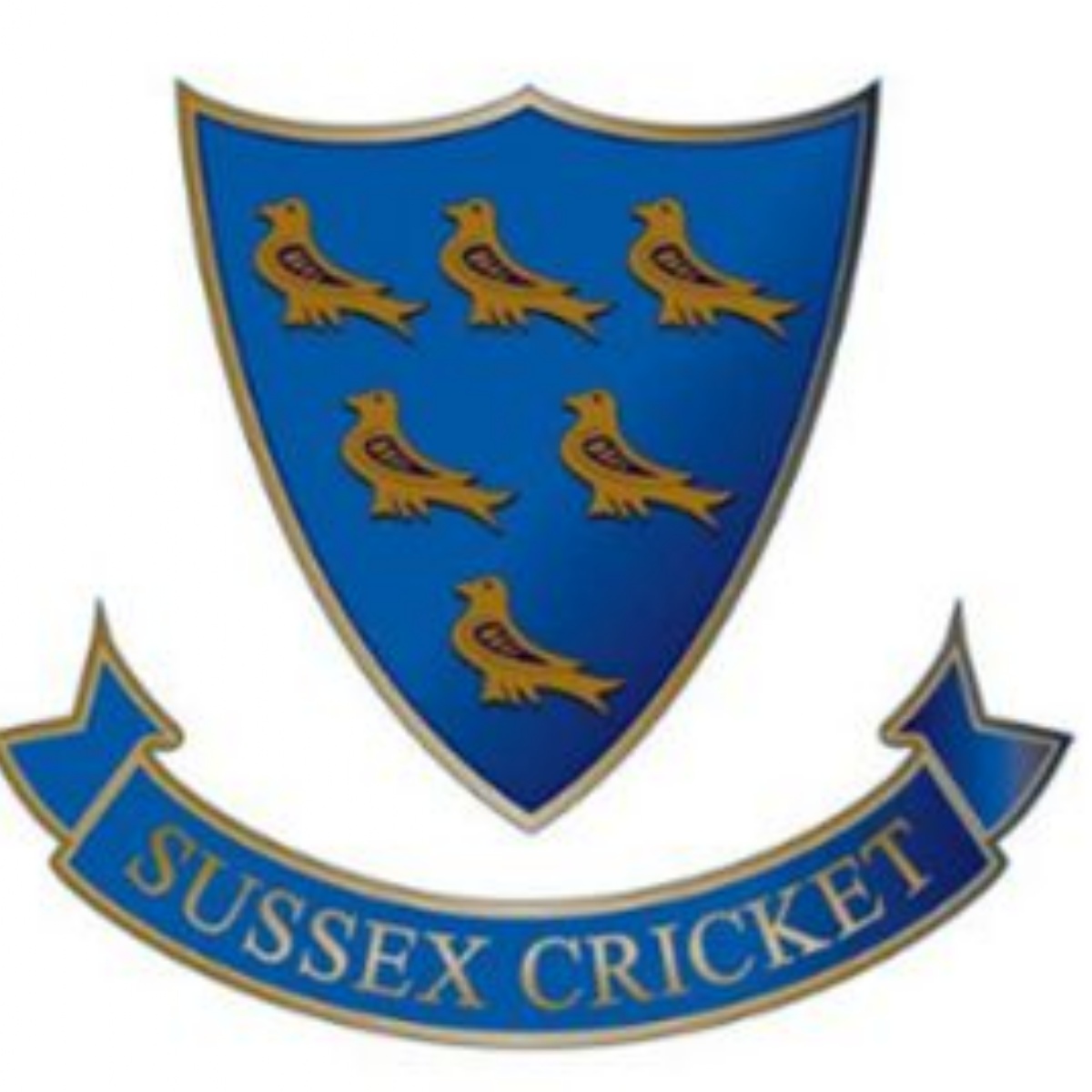 Woodlands Meed - Woodlands Meed Smash Boundaries in More Ways than One ...