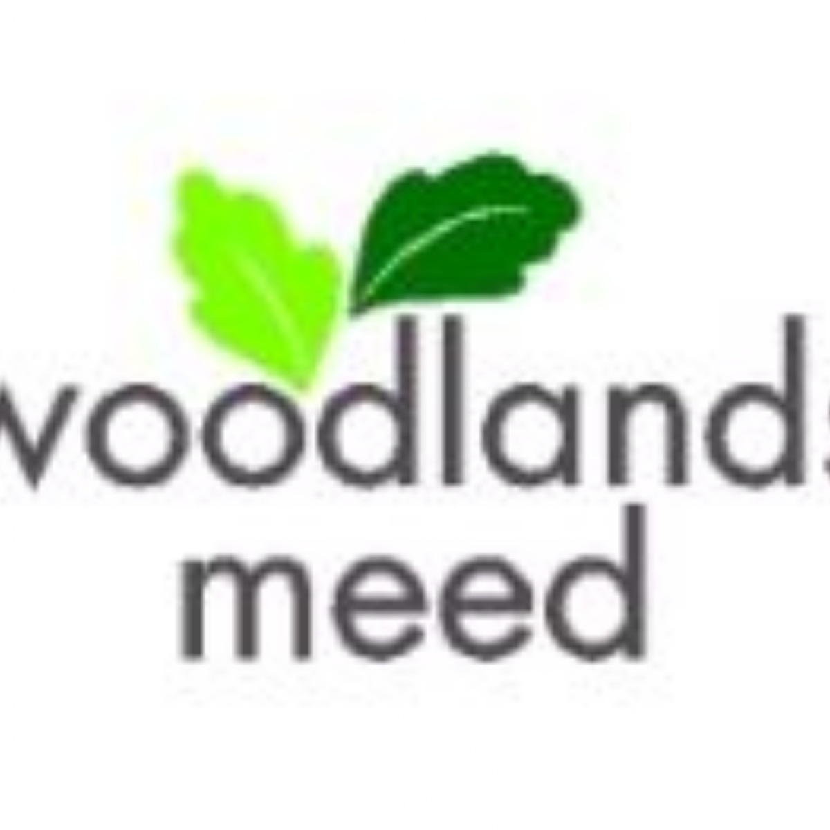 Woodlands Meed - Flying High at Imberhorne: Owls Shine at Inclusion ...